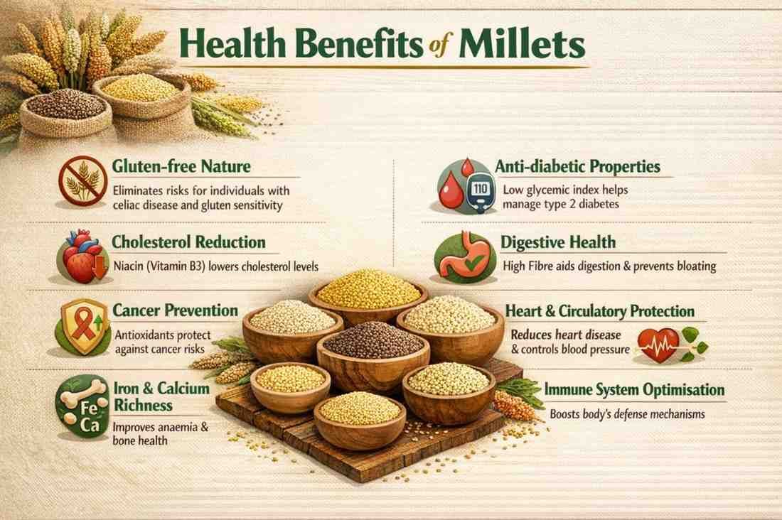 Millets: Types, Production, Benefits & Initiatives (UPSC Notes)