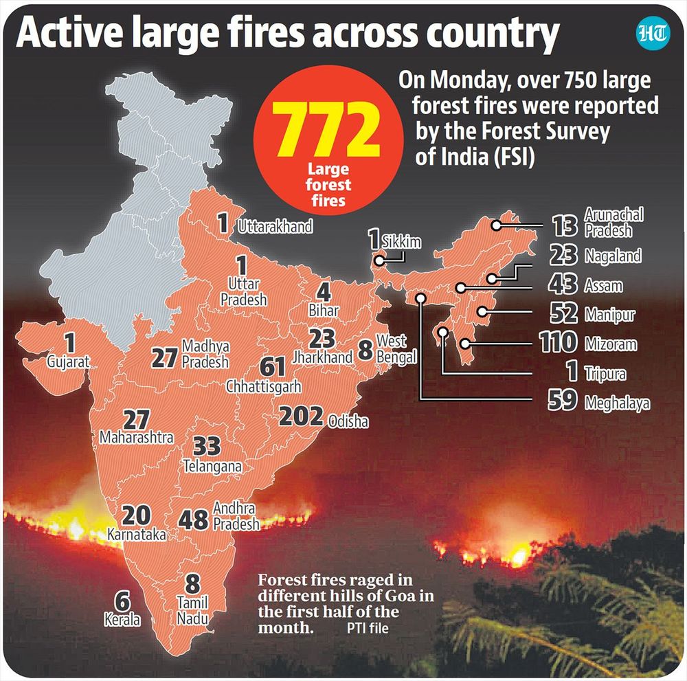 Rise in Forest Fire Incidents: Causes, Impacts & Sustainable Solutions ...