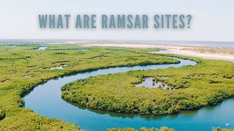 State-wise and Area-wise List of Ramsar Sites in India