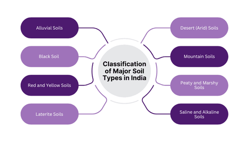 Classification and Characteristics of Major Soil Types in India