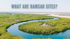 State-wise and Area-wise List of Ramsar Sites in India